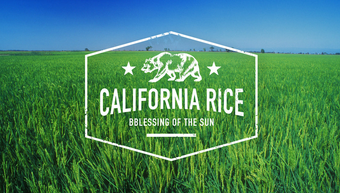 California Rice – RICE&